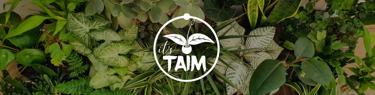 It's Taim – Houseplant store